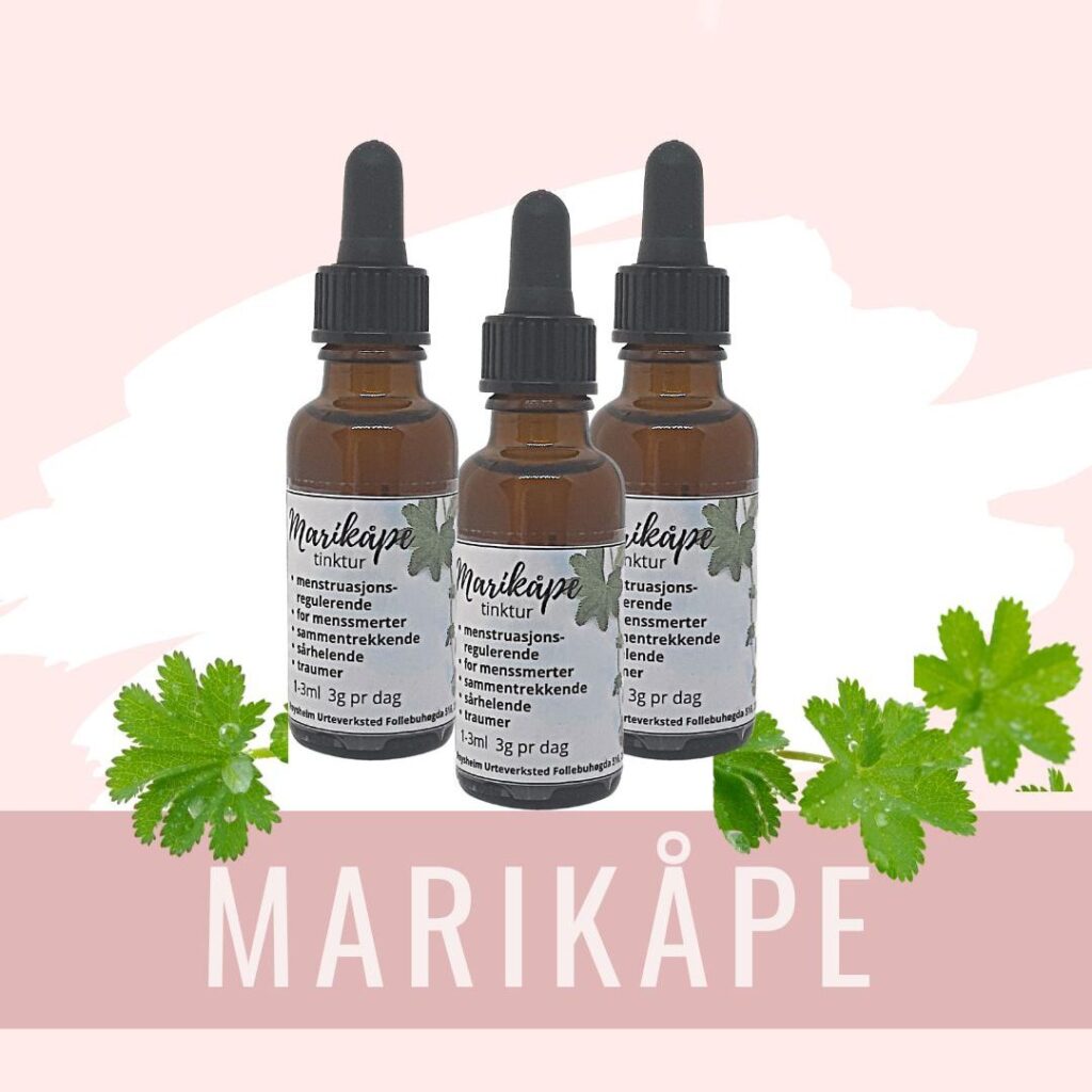 Groblad tinktur 30ml (hjemmelaget) - Røysheim Urteverksted